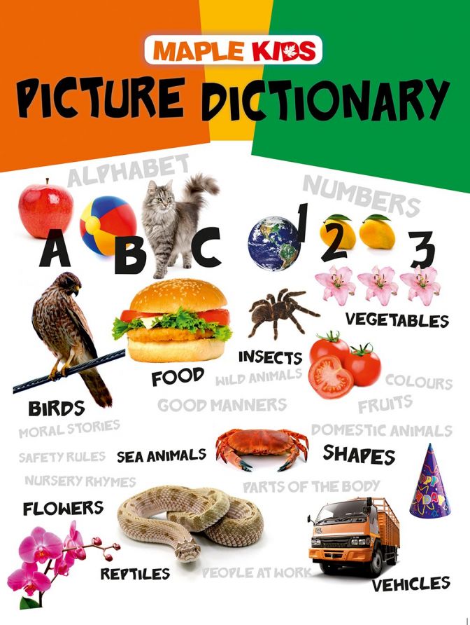 PICTURE DICTIONARY - Pre Nursery - Maple Kids